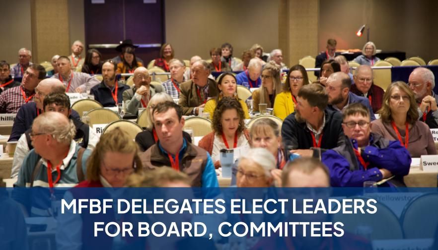 MFBF Delegates Elect Leaders for Board, Committees